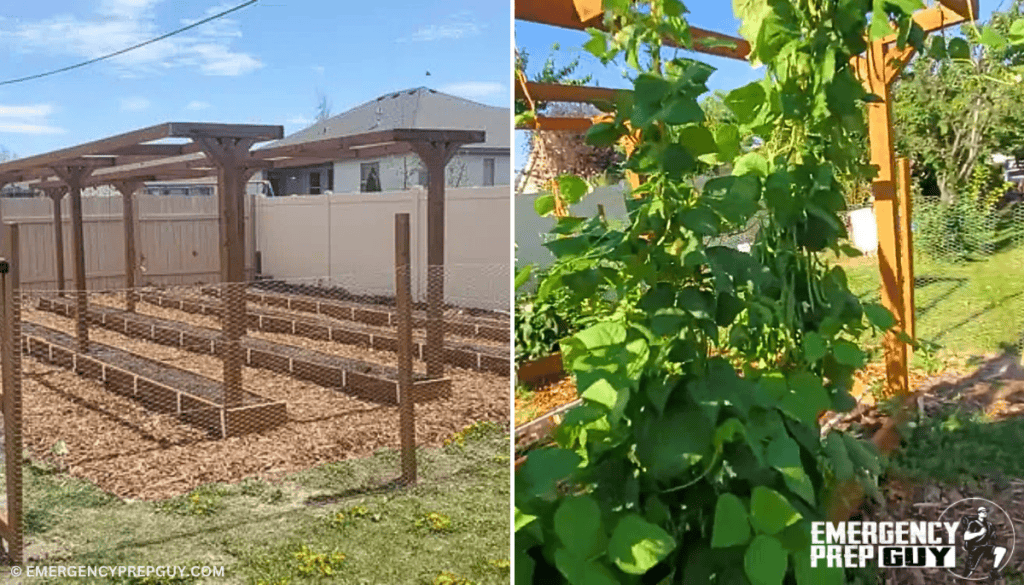 Advantages of Using the Mittleider Gardening Method