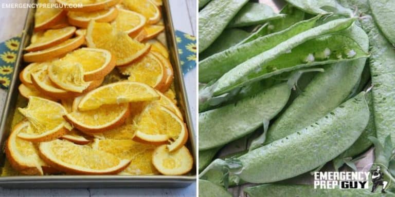 What is Freeze Dried Food? A Nutritionist Explains
