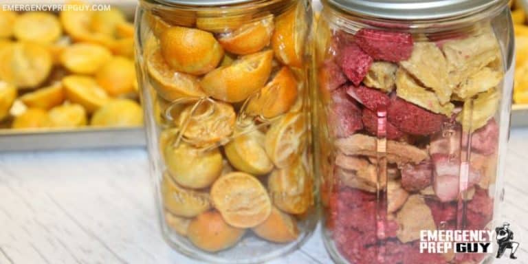 What is Freeze Dried Food? A Nutritionist Explains