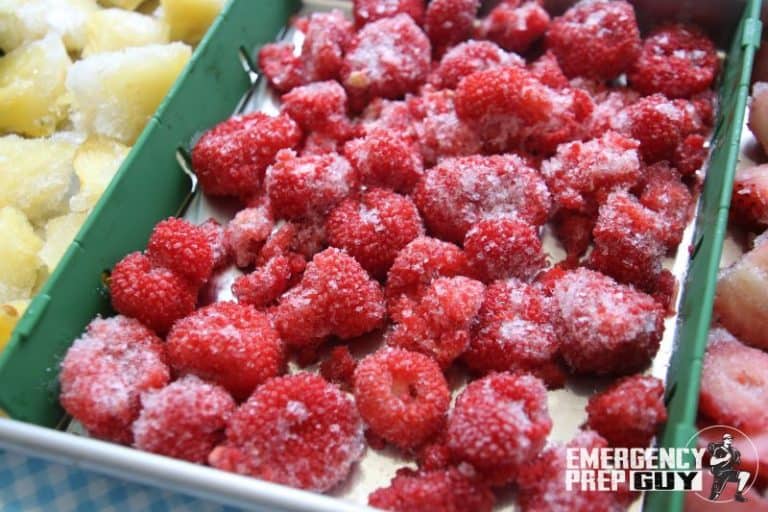 What is Freeze Dried Food? A Nutritionist Explains