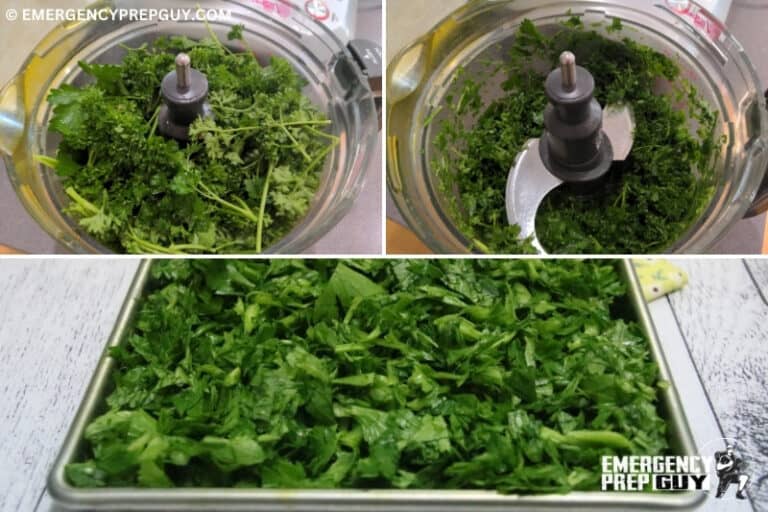 How to Freeze-Dry Herbs (Step-by-Step With Photos)