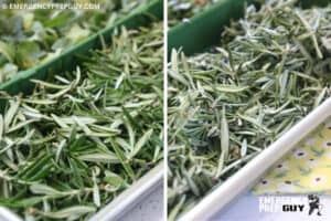 How to Freeze-Dry Herbs (Step-by-Step With Photos)