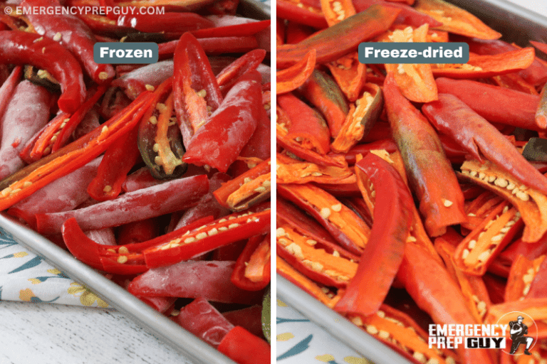 How to Freeze-Dry Chili Peppers for Long-Term Storage